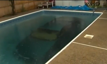 Automotive News (Page 936) | Torque News